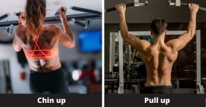 Modified Pull Ups : Ultimate Guide