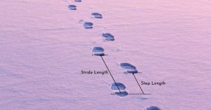 How many steps are in 1 mile, and how long will it take you?